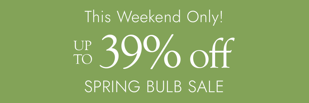Bloom Into Beautiful Savings – Save Up To 39% On Spring Bulbs